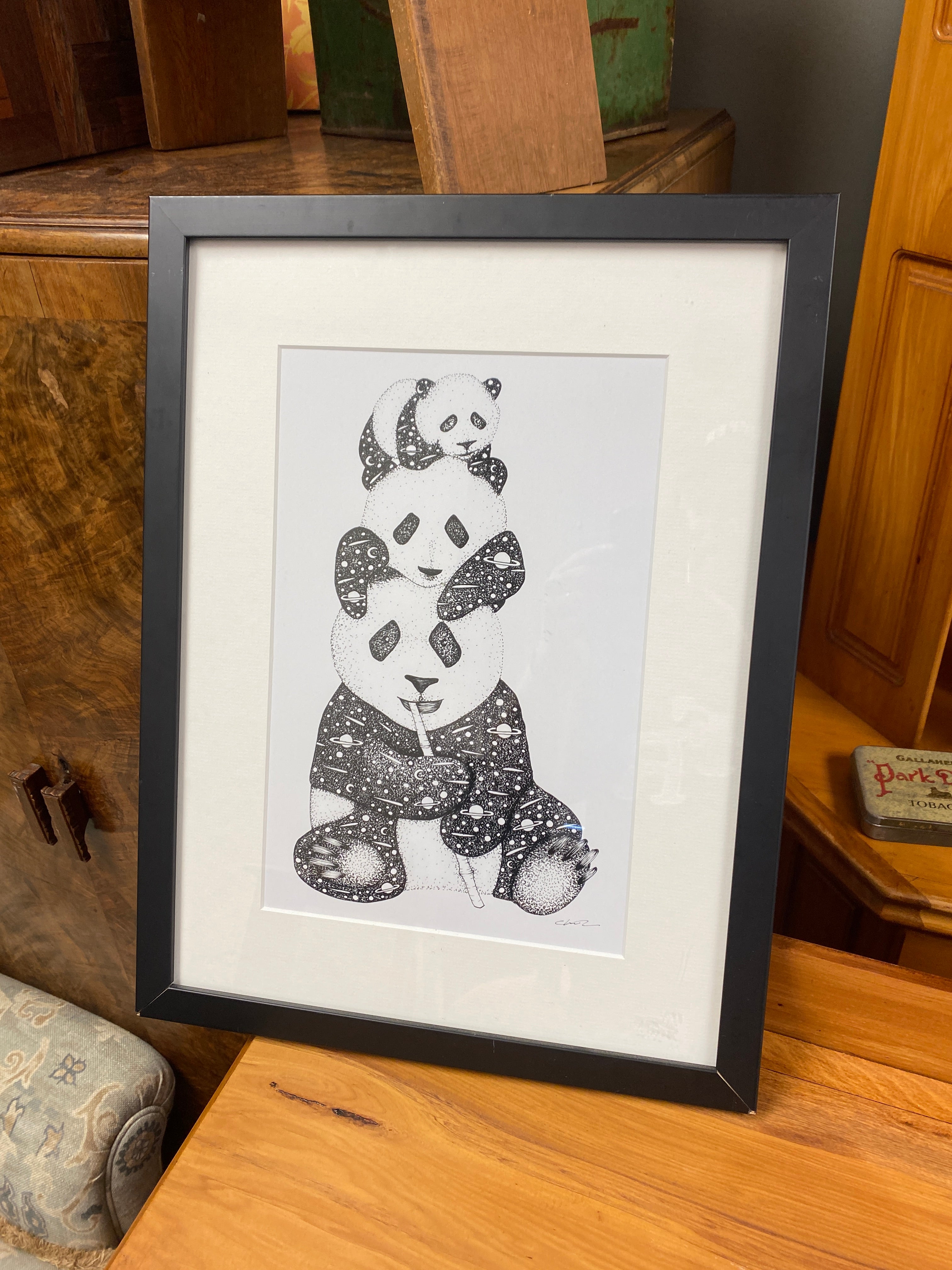 Chelsea-Mae - Panda Print – Plots & Pickles
